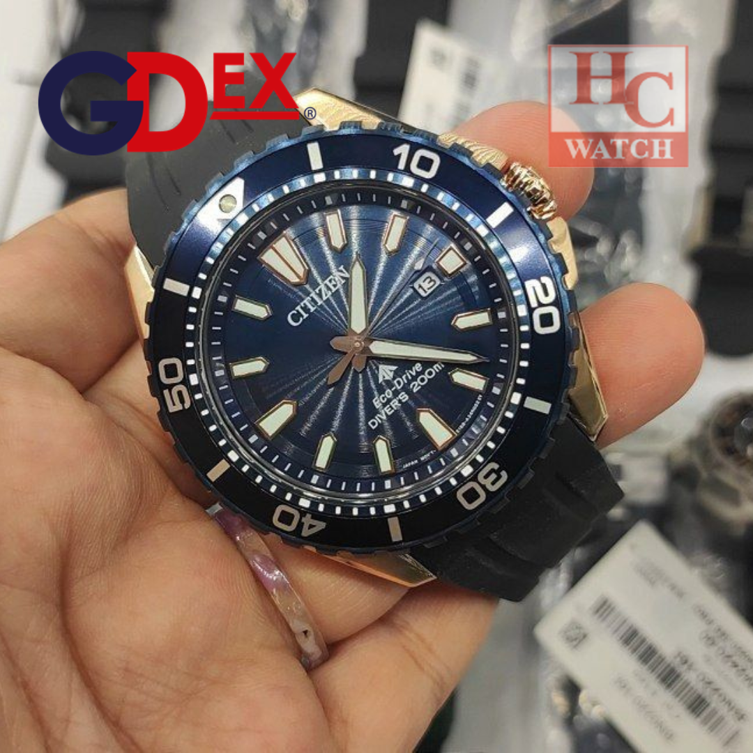 Citizen BN0196-01L Promaster Dive Blue Dial Polyurethane Strap: Ho ...